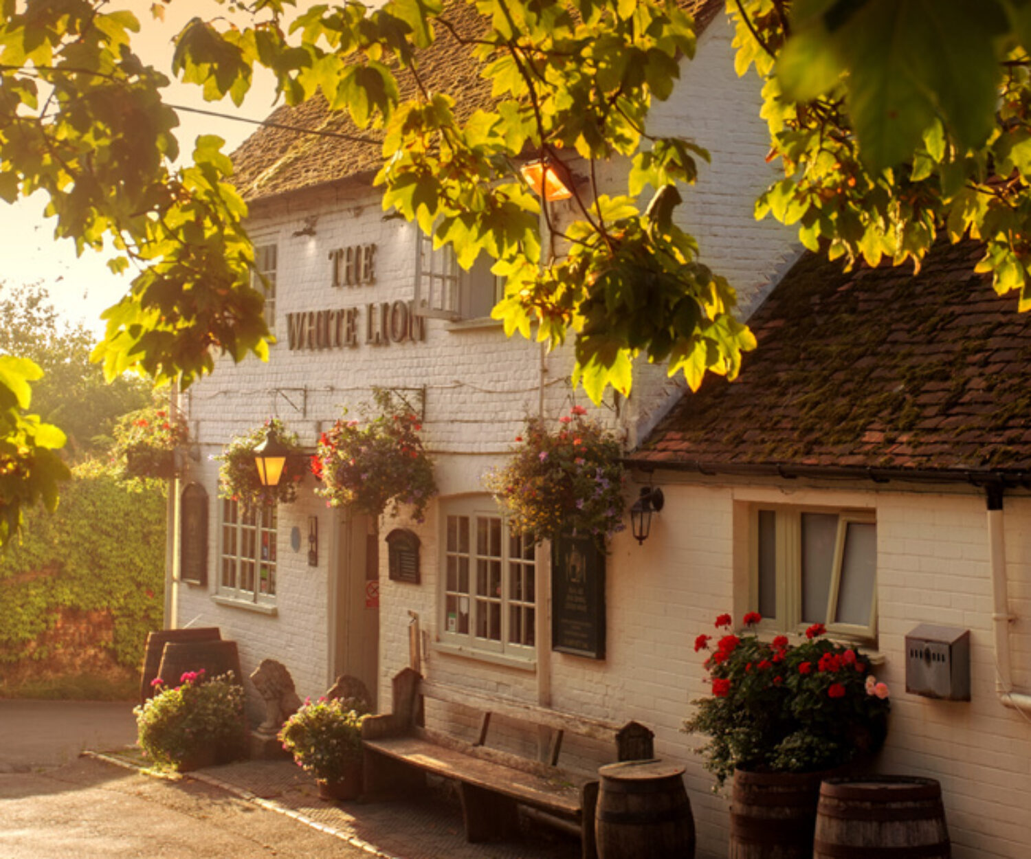Home - The White Lion Soberton Traditional country pub in the beautiful ...